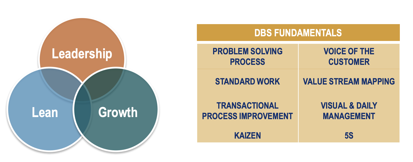 IP Research Roundup: The Danaher Business System | DHR | Danaher | In ...